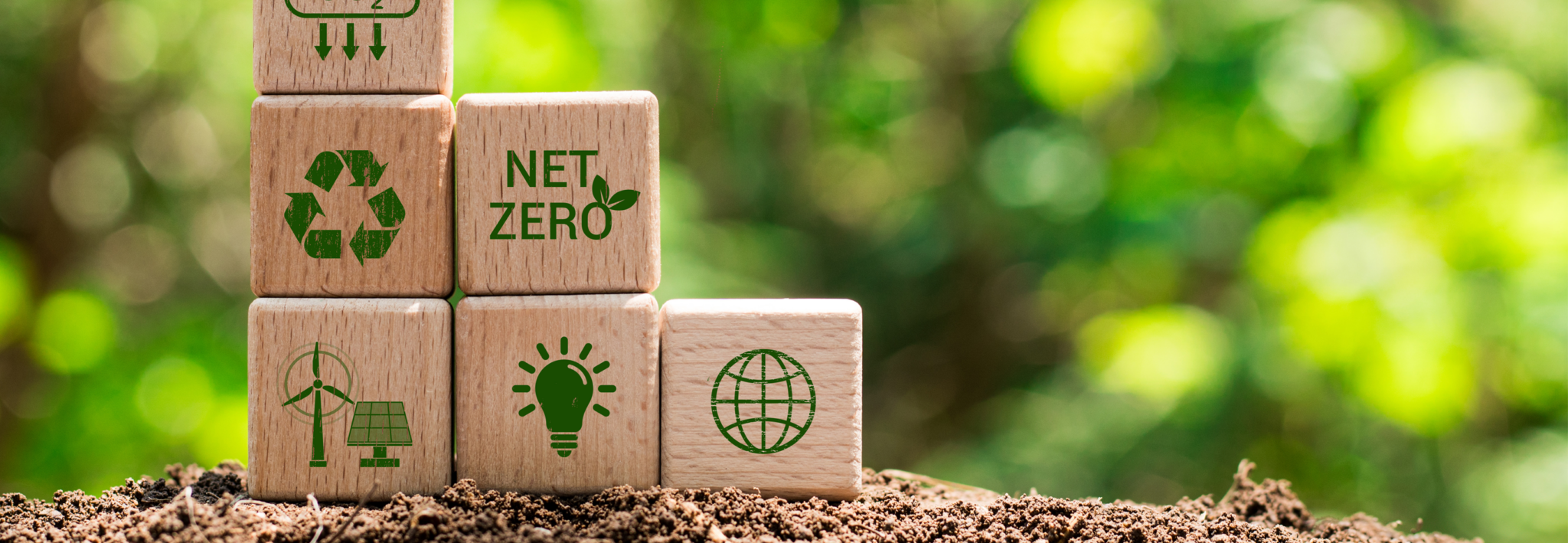 Agence de Merlimont - Square Habitat Nord de France